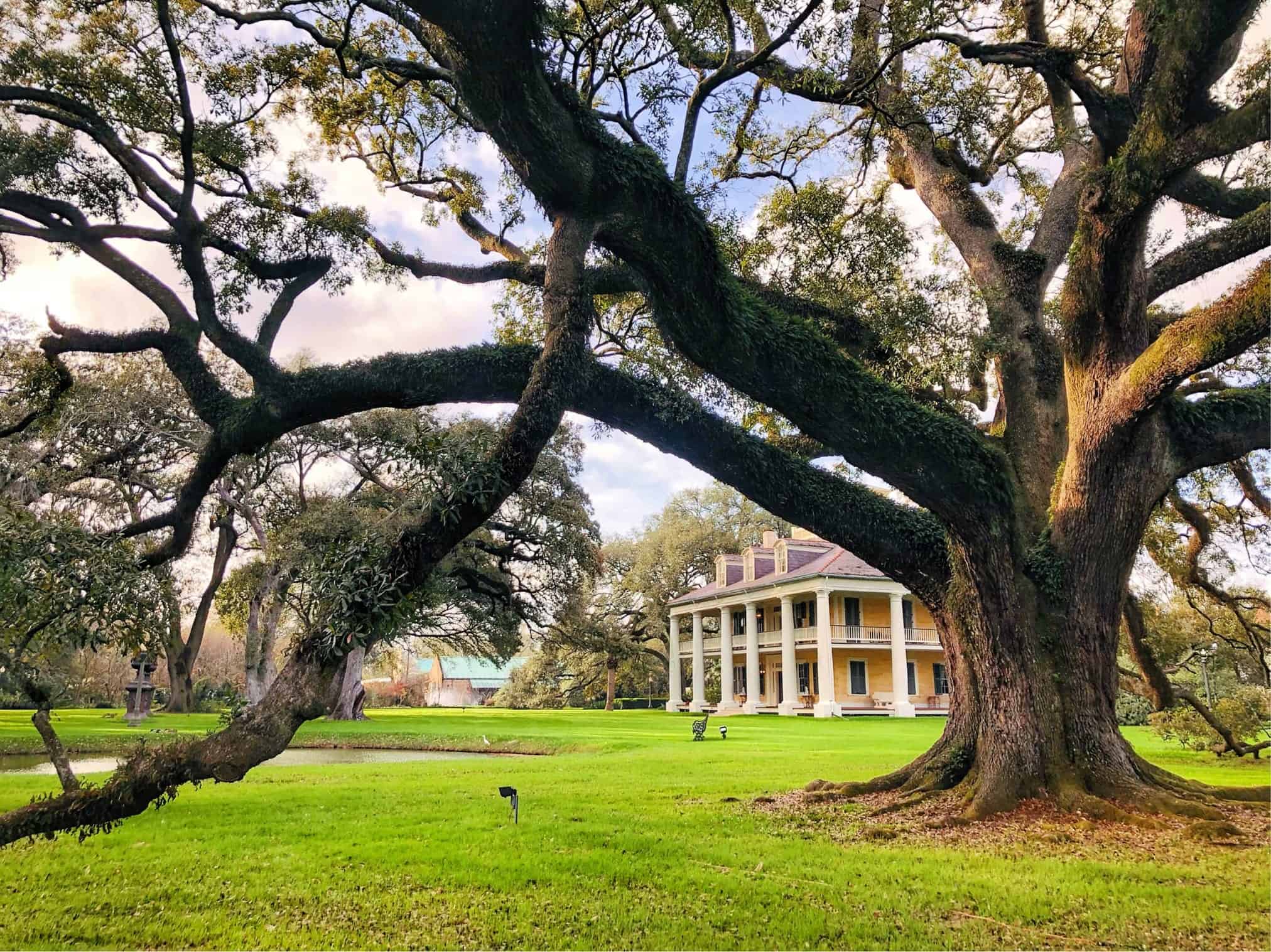 The Best New Orleans Plantation Country Tours