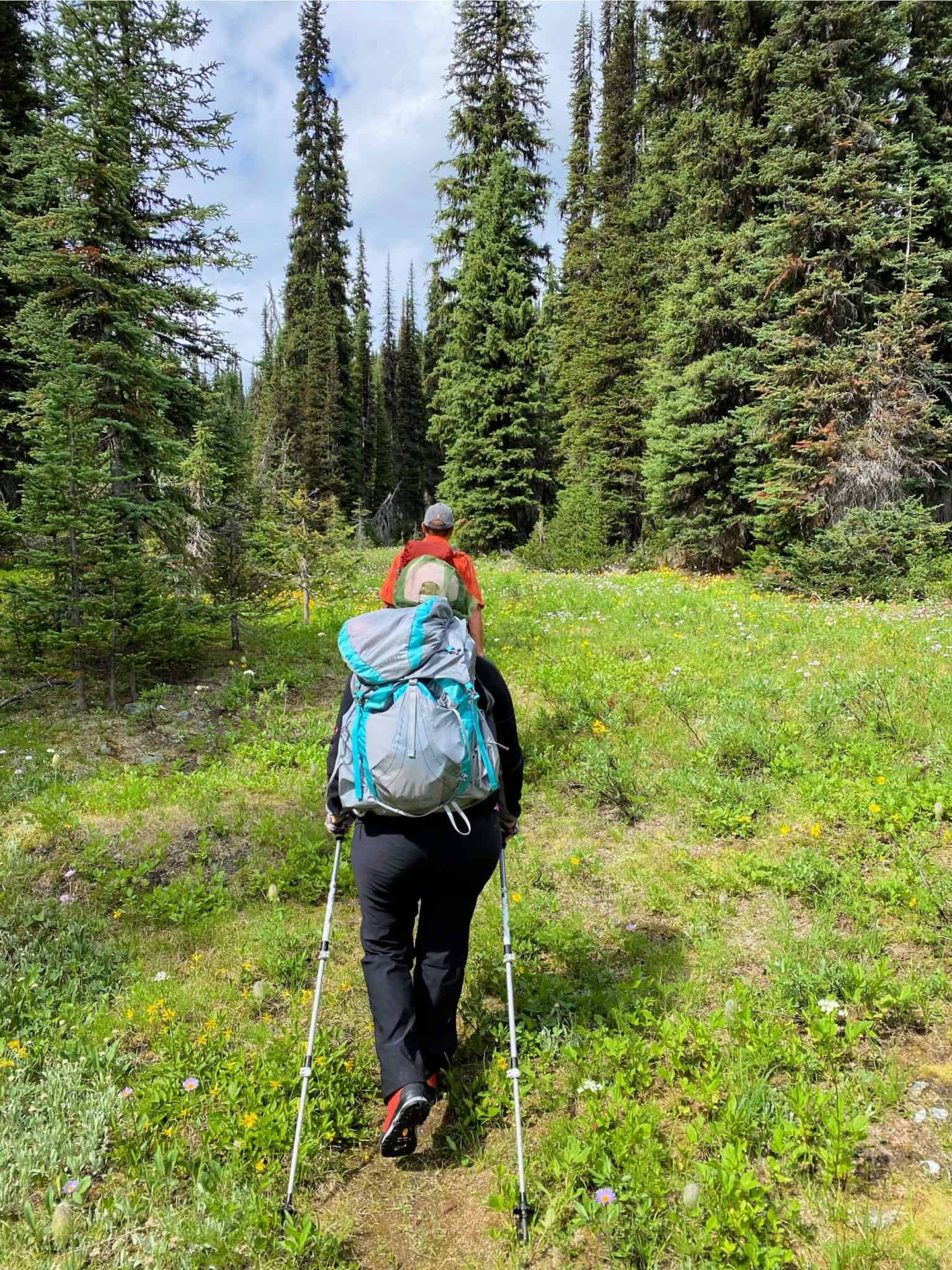 Unforgettable backcountry hiking at Purcell Mountain Lodge