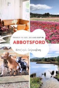 22 Surprising Things to Do in Abbotsford - Claudia Travels