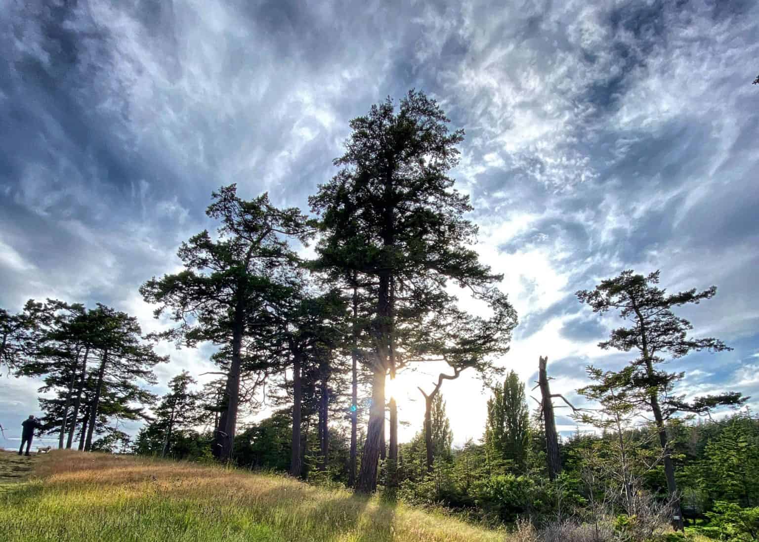 25 surprising things to do on Pender Island - Claudia Travels