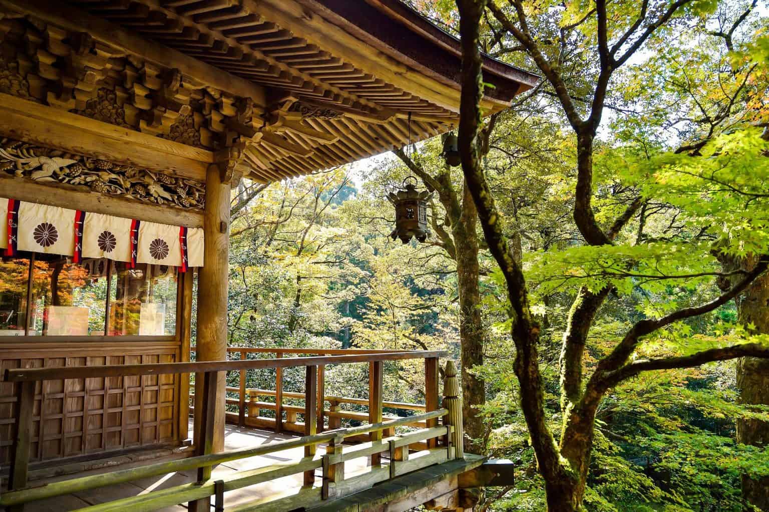 Four Japan wellness practices that travelers must experience - Claudia ...