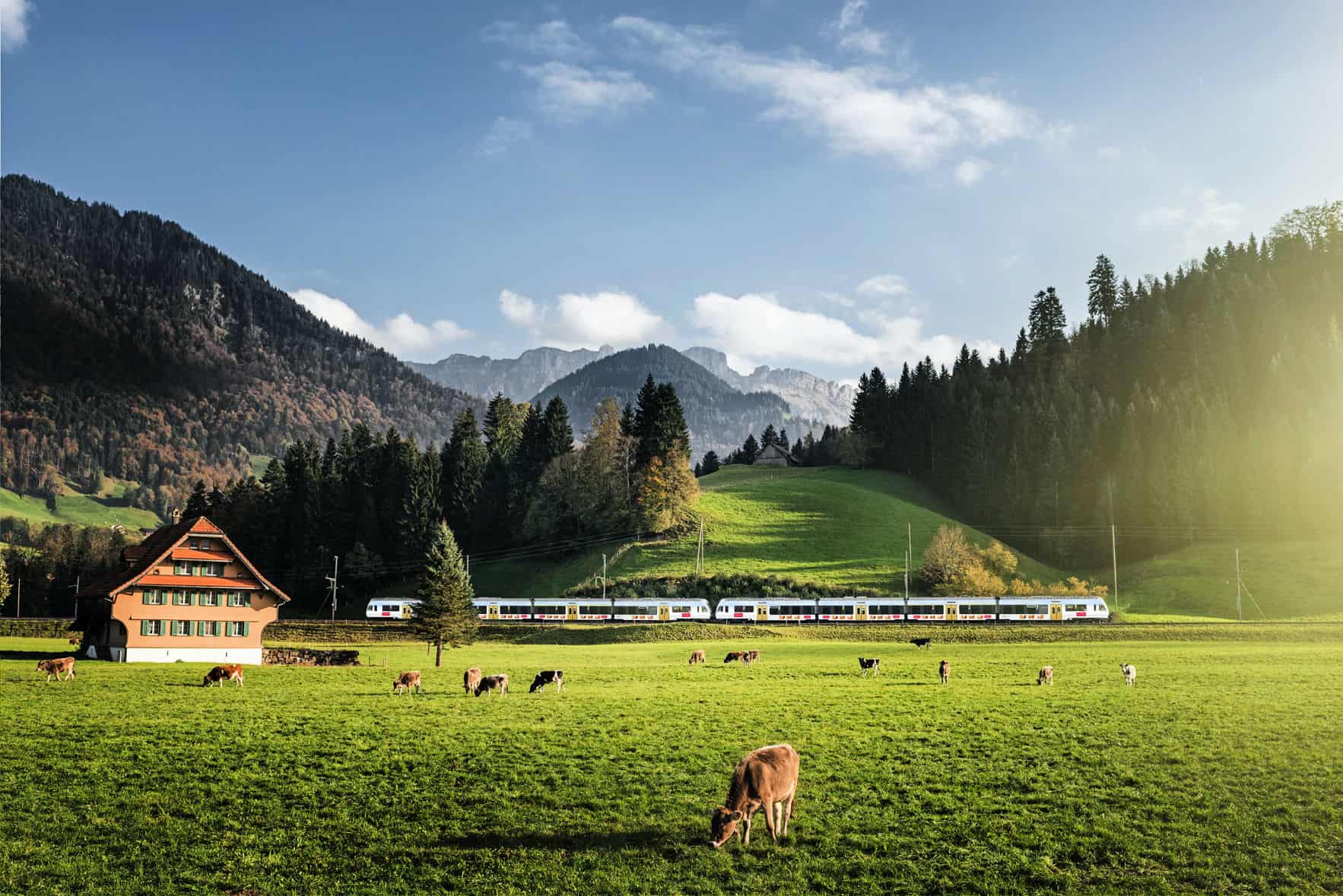 Let’s use the SBB Swiss Travel Pass! A handy guide to Swiss train ...