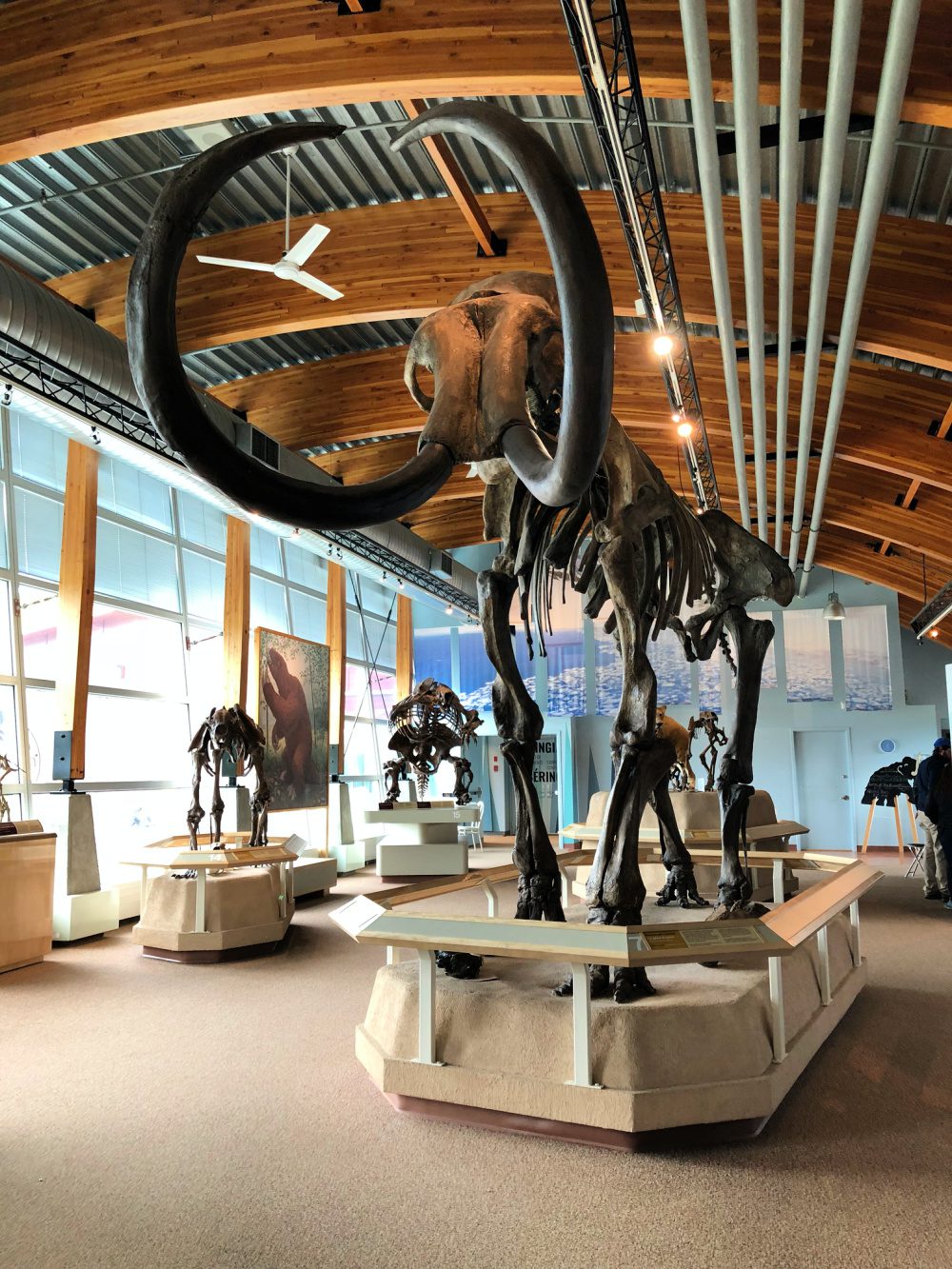 Unearthing northern adventure: 33 thrilling things to do in the Yukon ...