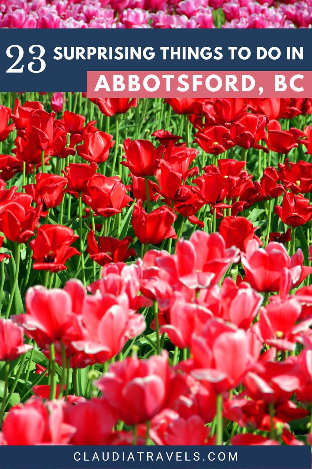23 surprising things to do in Abbotsford - Claudia Travels